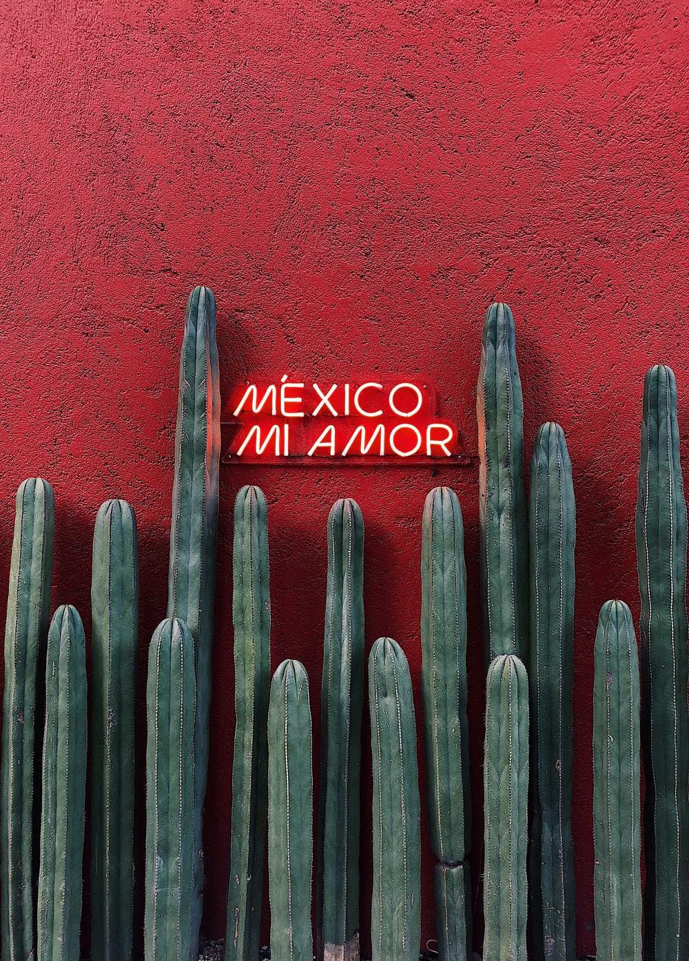 Mexico 4k Wallpapers - Top Free Mexico 4k Backgrounds - WallpaperAccess