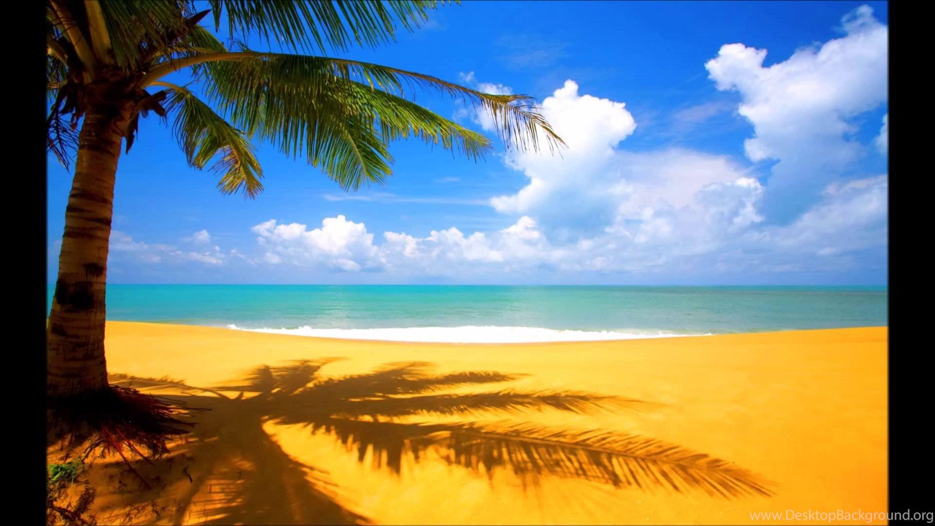 Tiki Beach Wallpapers - Top Free Tiki Beach Backgrounds - WallpaperAccess