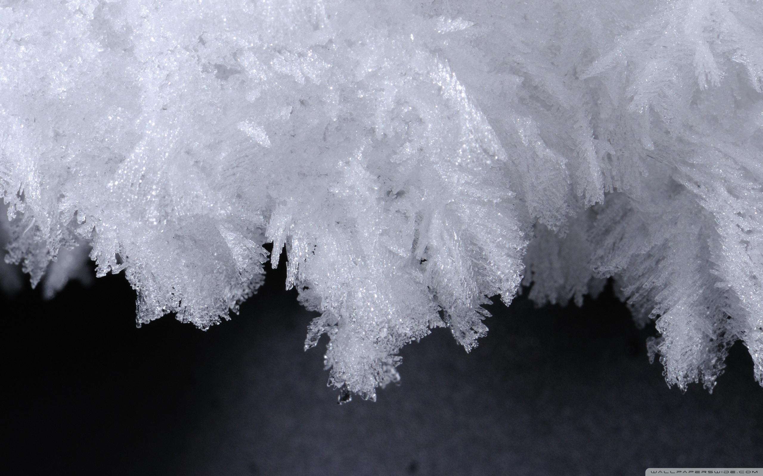 Ice Flower Wallpapers - Top Free Ice Flower Backgrounds - WallpaperAccess