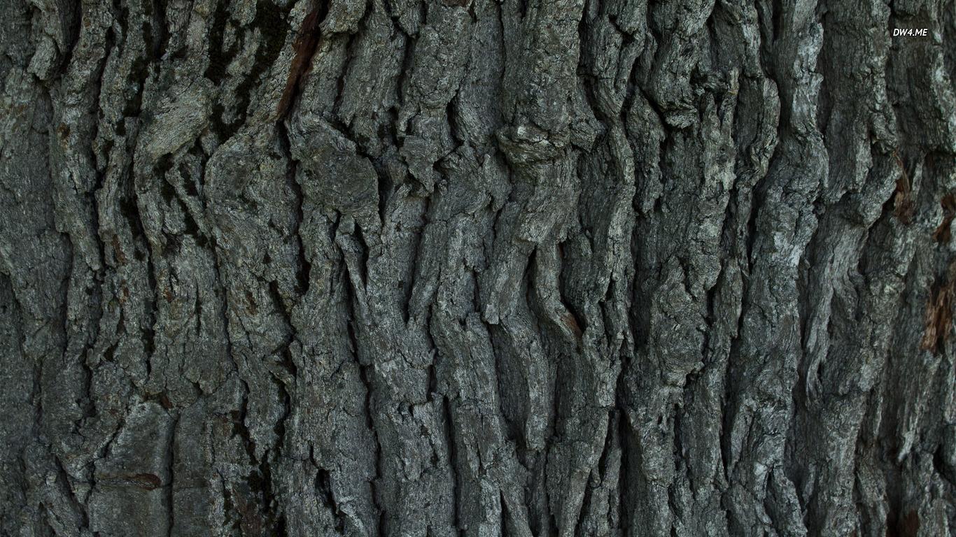 Bark Wallpapers - Top Free Bark Backgrounds - WallpaperAccess