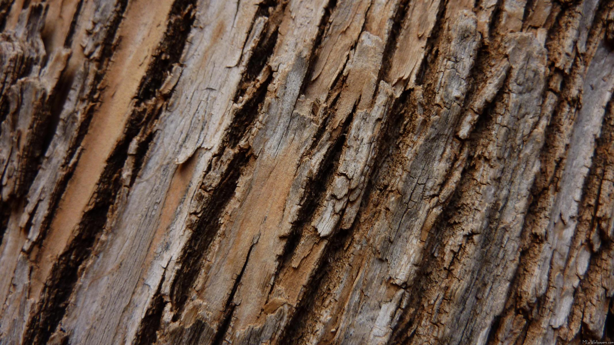 Bark Wallpapers - Top Free Bark Backgrounds - WallpaperAccess