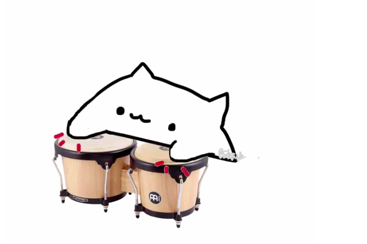 Bongo Cat Meme Wallpapers - Top Free Bongo Cat Meme Backgrounds ...