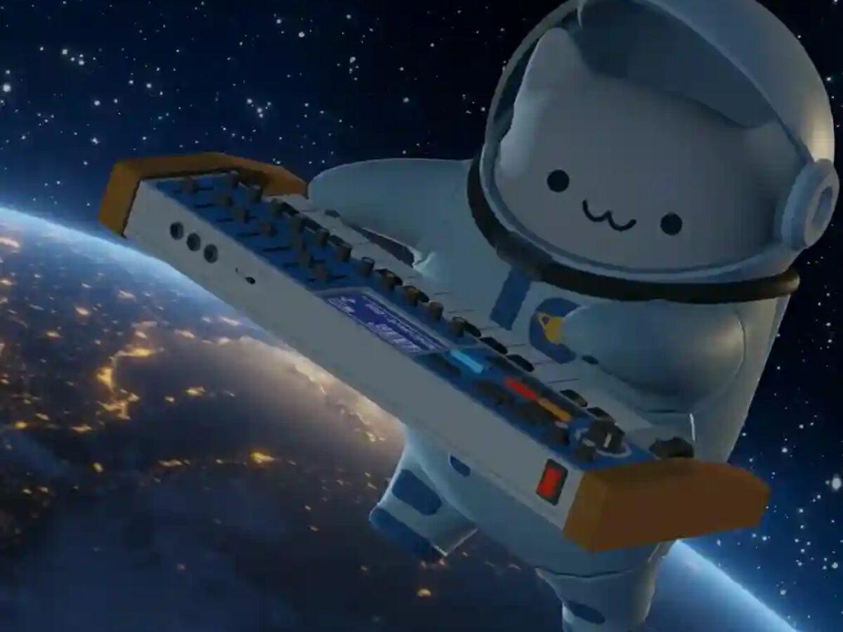 Bongo Cat Meme Wallpapers - Top Free Bongo Cat Meme Backgrounds ...