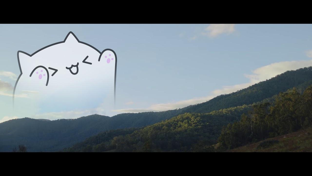 Bongo Cat Meme Wallpapers - Top Free Bongo Cat Meme Backgrounds ...