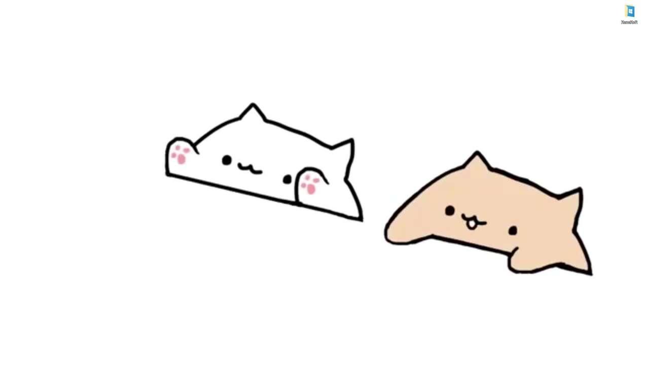Bongo Cat Meme Wallpapers - Top Free Bongo Cat Meme Backgrounds ...