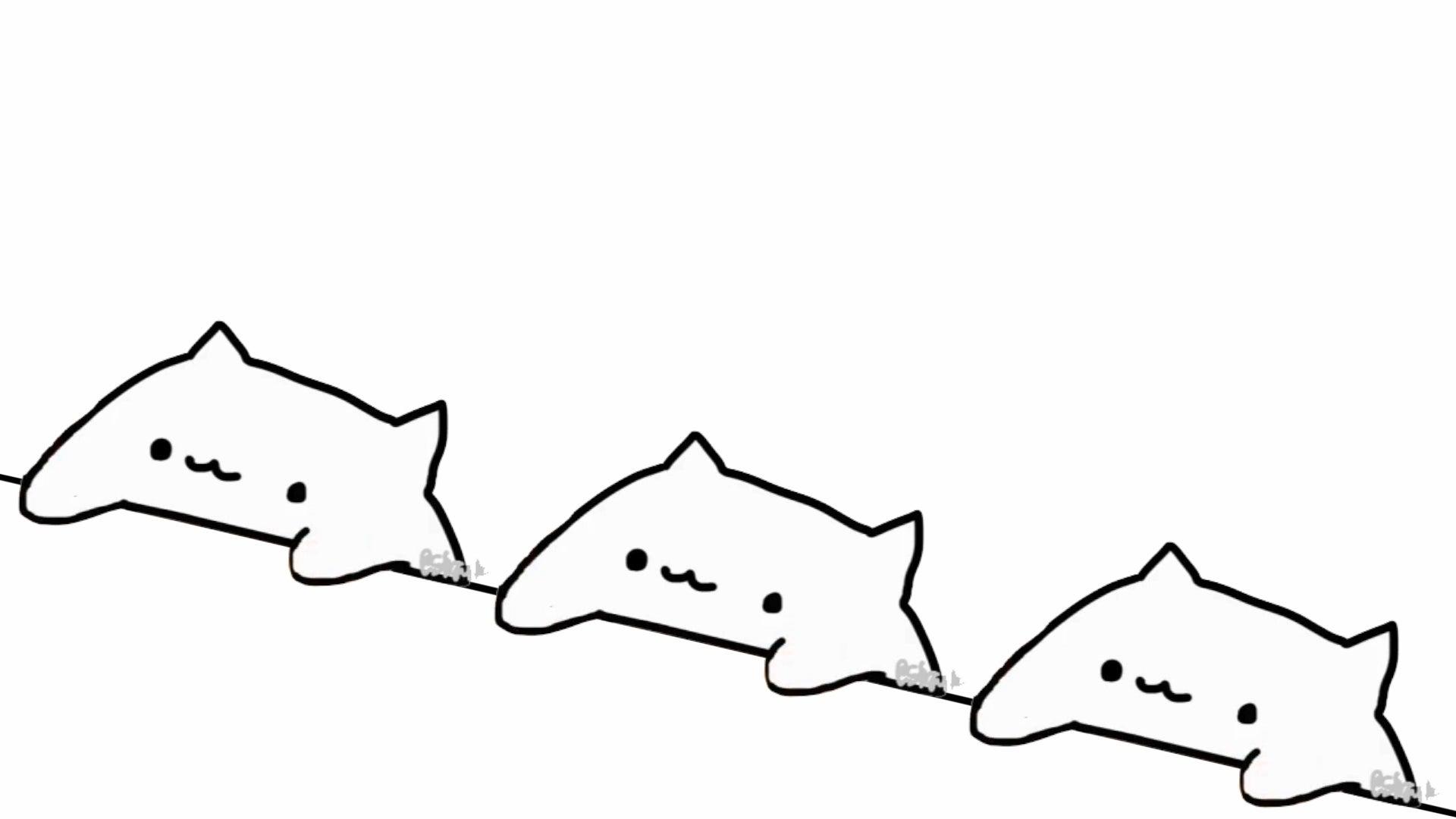 Bongo Cat Meme Wallpapers - Top Free Bongo Cat Meme Backgrounds ...