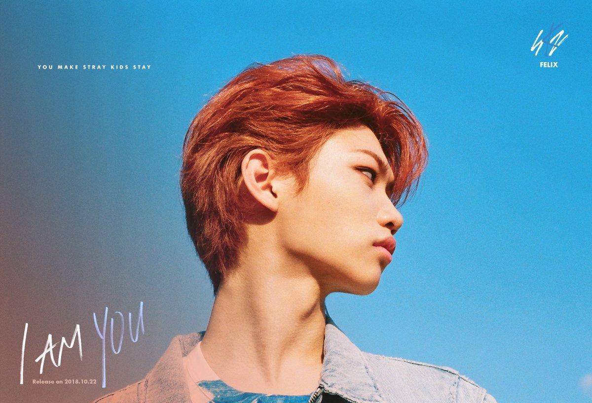 Lee Felix Desktop Wallpapers - Top Free Lee Felix Desktop Backgrounds - WallpaperAccess