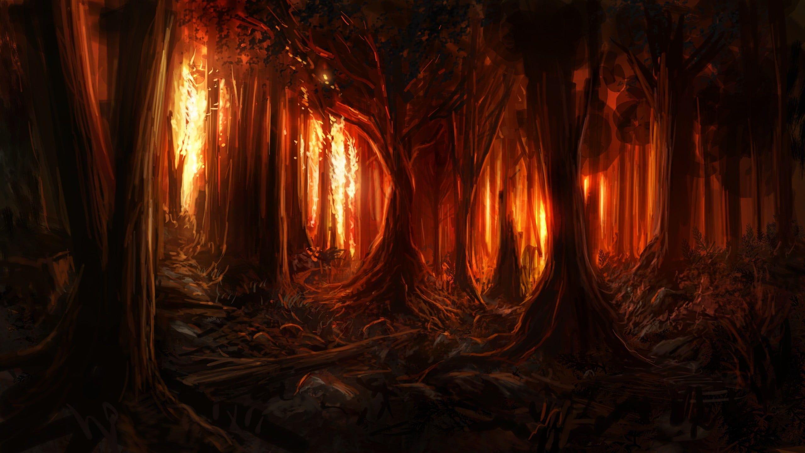 Burning Forest Wallpapers - Top Free Burning Forest Backgrounds ...