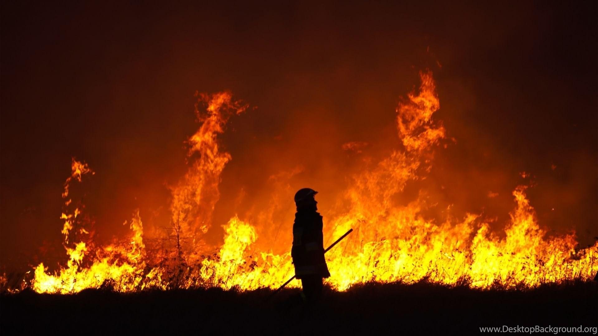 Burning Forest Wallpapers - Top Free Burning Forest Backgrounds ...