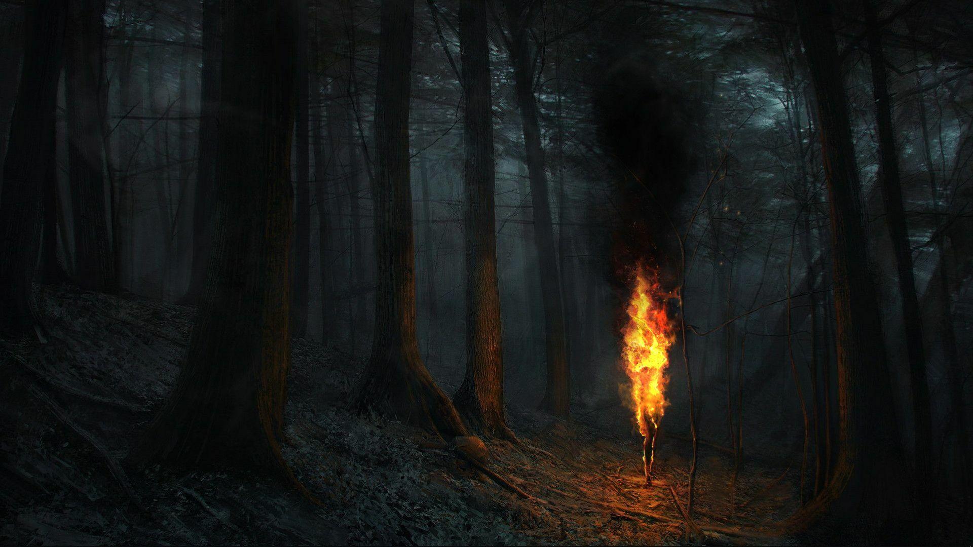 Burning Forest Wallpapers - Top Free Burning Forest Backgrounds ...