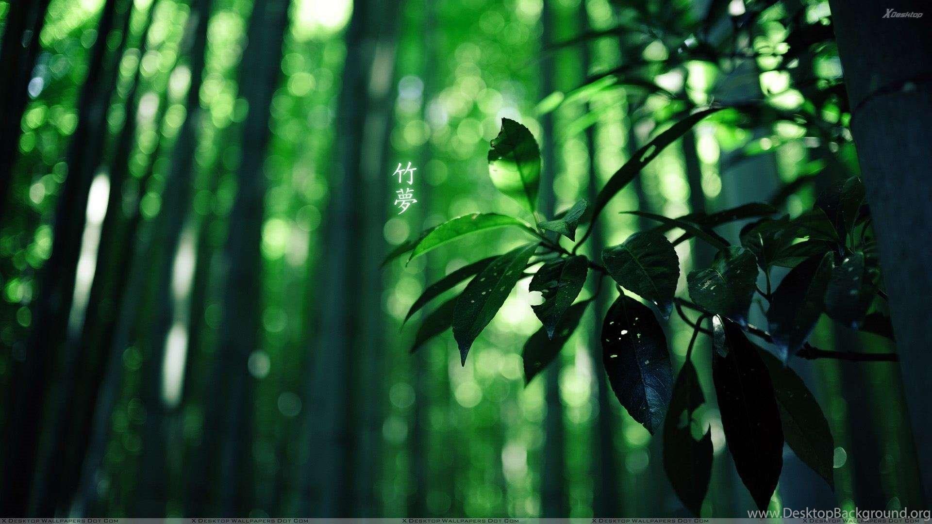 Green Leaves Desktop Wallpapers - Top Free Green Leaves Desktop ...