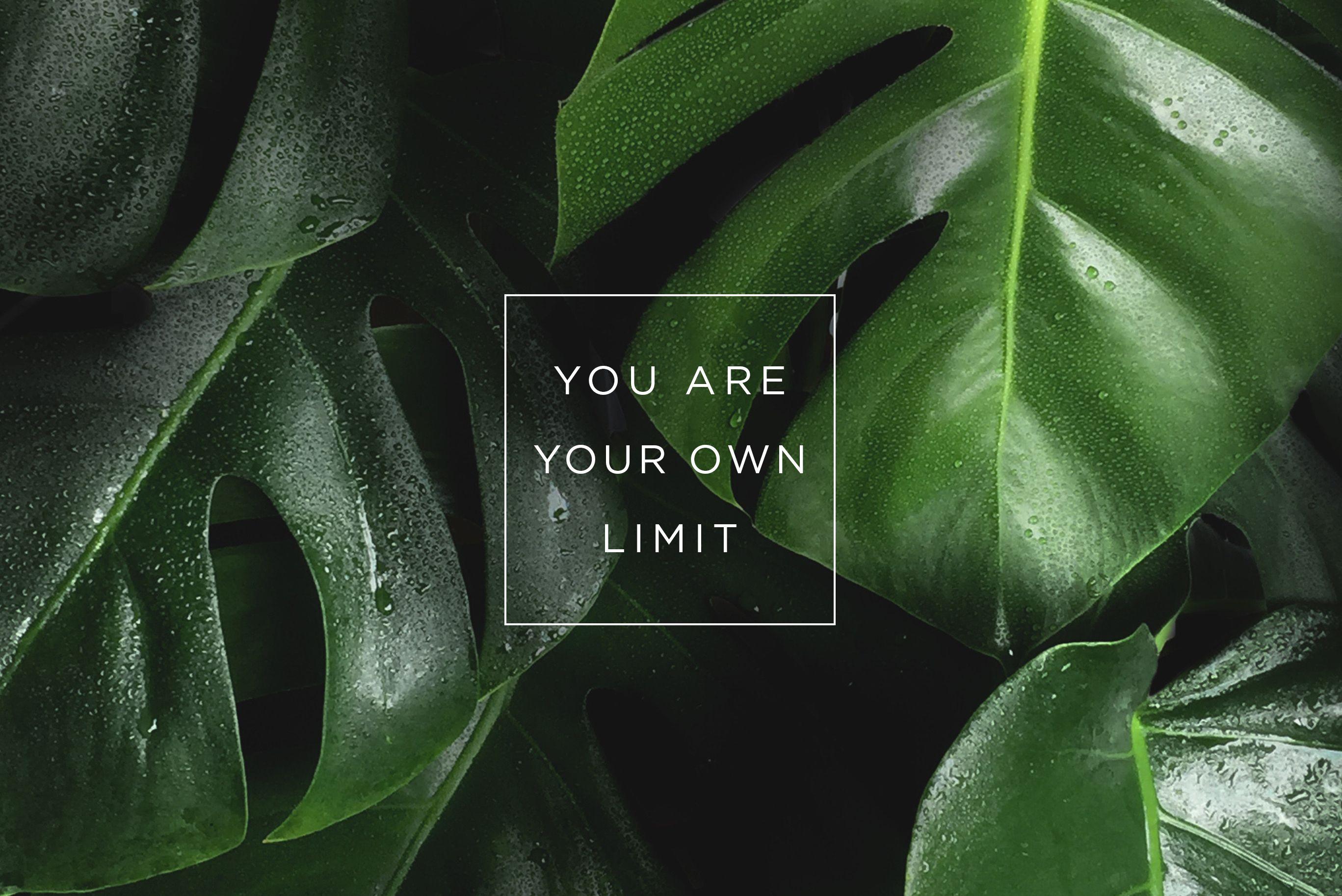 Green Leaves Desktop Wallpapers - Top Free Green Leaves Desktop ...