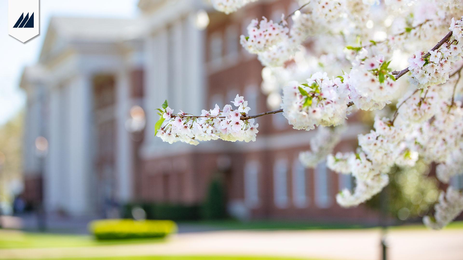 Public Relations Wallpapers - Top Free Public Relations Backgrounds ...