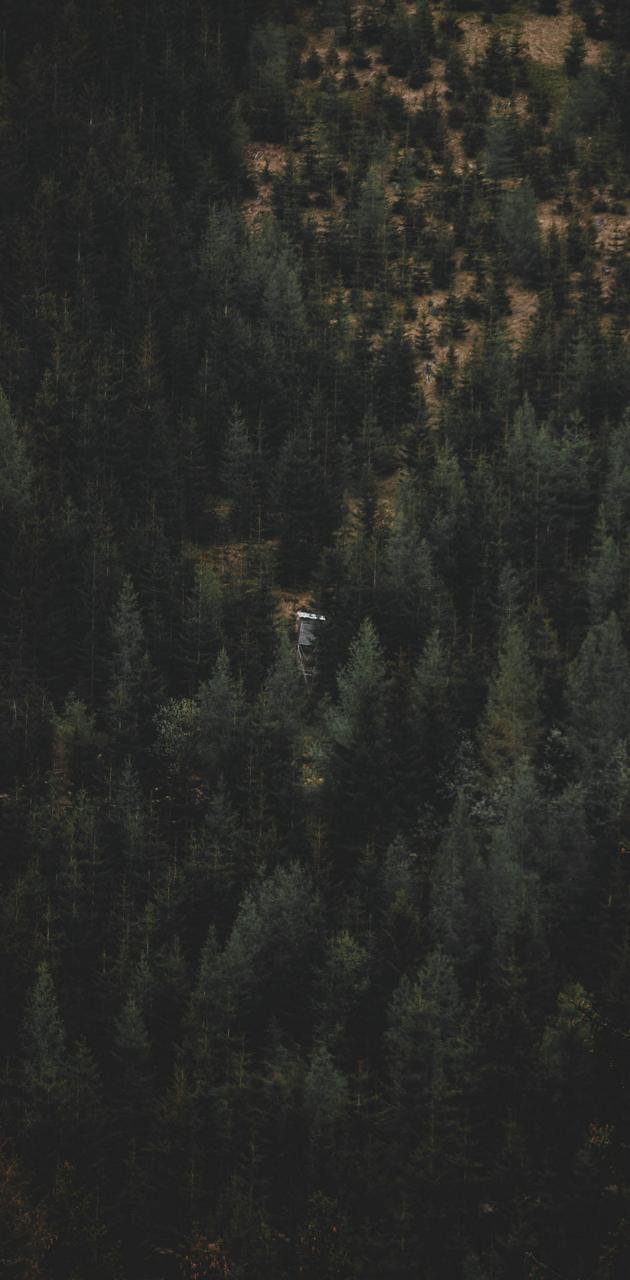 Moody Nature Wallpapers - Top Free Moody Nature Backgrounds ...