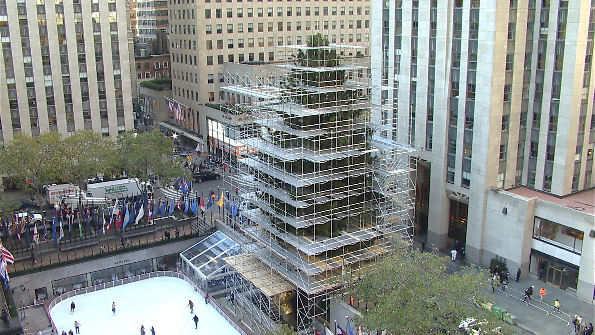 New York Times Square Christmas Tree Wallpapers - Top Free New York ...