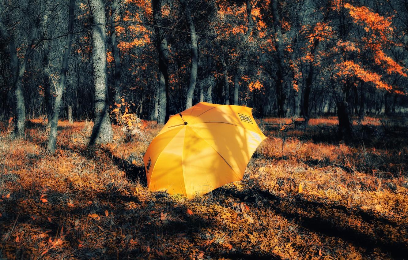Autumn Camping Wallpapers - Top Free Autumn Camping Backgrounds ...