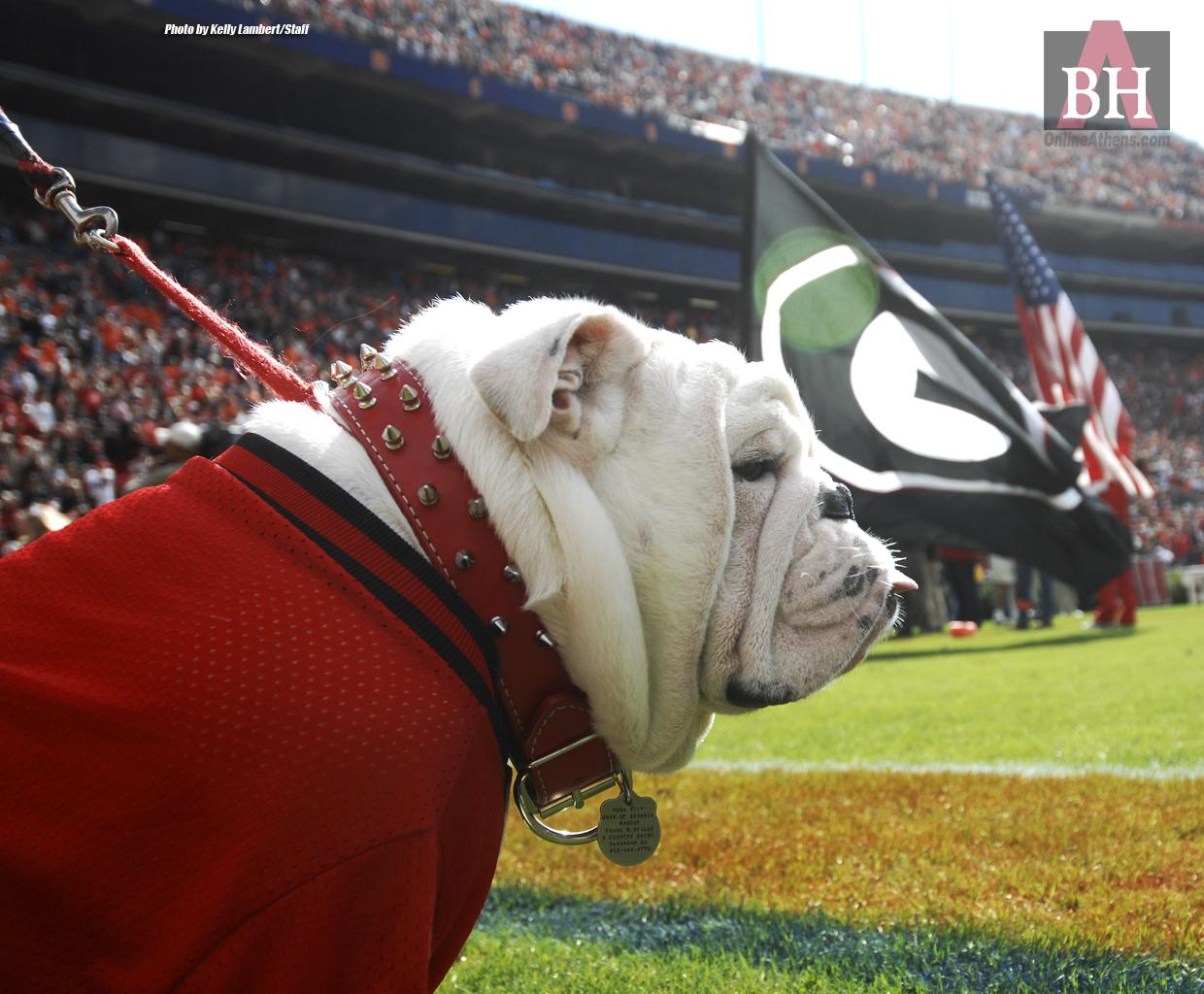 Georgia Bulldogs Desktop Wallpapers - Top Free Georgia Bulldogs Desktop Backgrounds ...