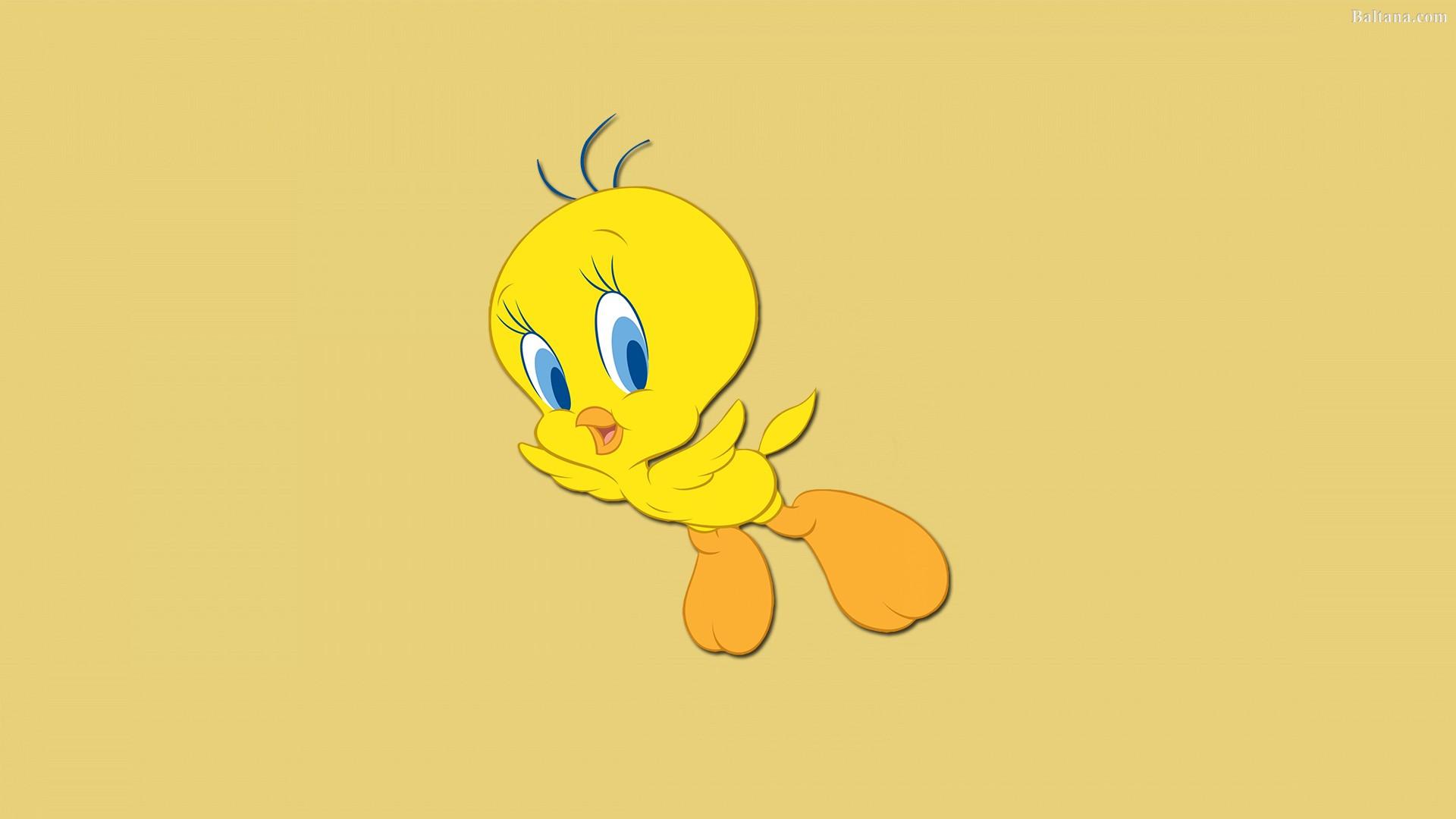 Cute Tweety Bird Wallpapers - Top Free Cute Tweety Bird Backgrounds ...