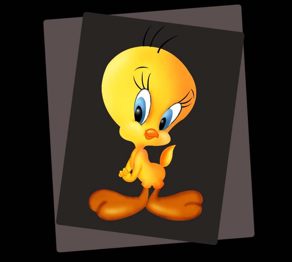 Cute Tweety Bird Wallpapers - Top Free Cute Tweety Bird Backgrounds ...