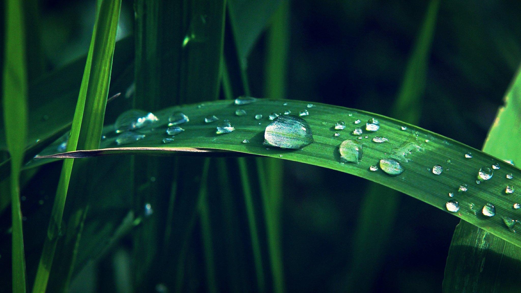 Macro Photography Nature Wallpapers - Top Free Macro Photography Nature ...