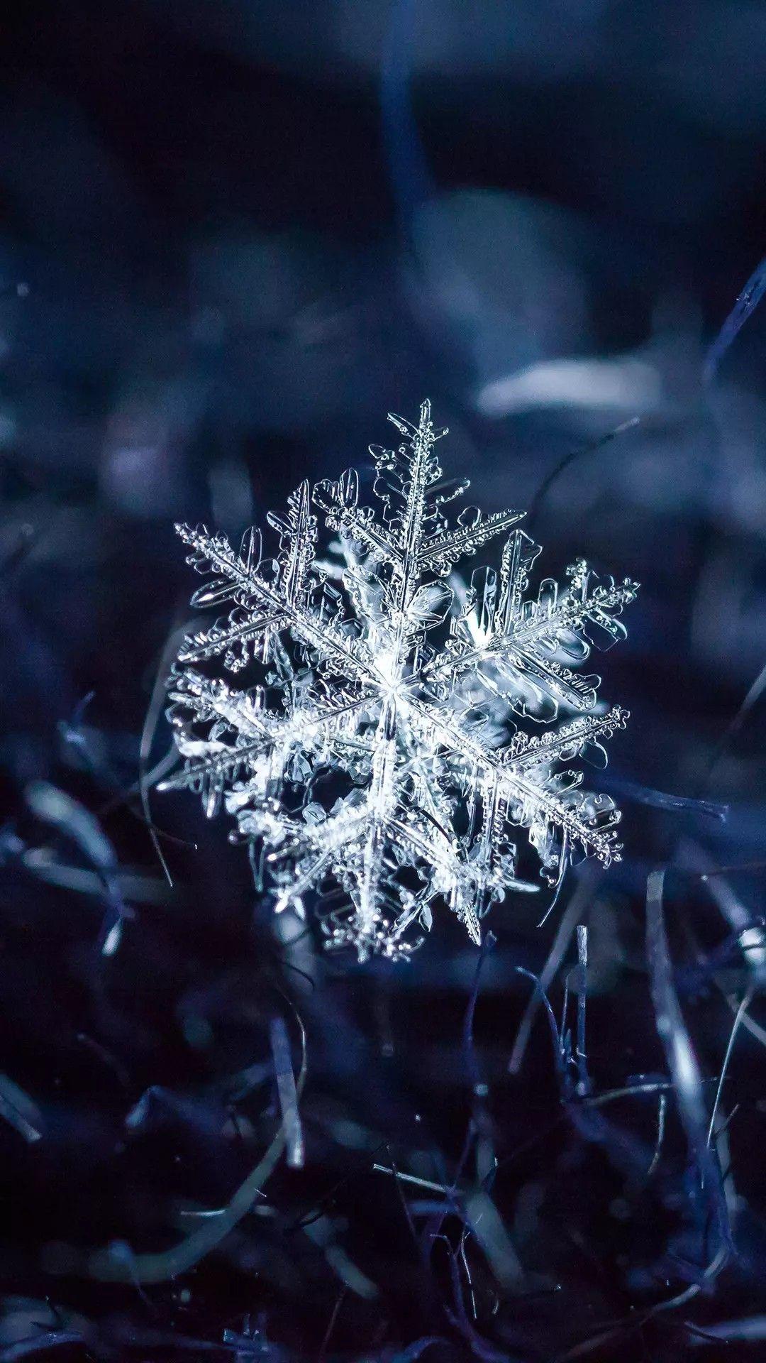 Dark Frost Wallpapers - Top Free Dark Frost Backgrounds - WallpaperAccess