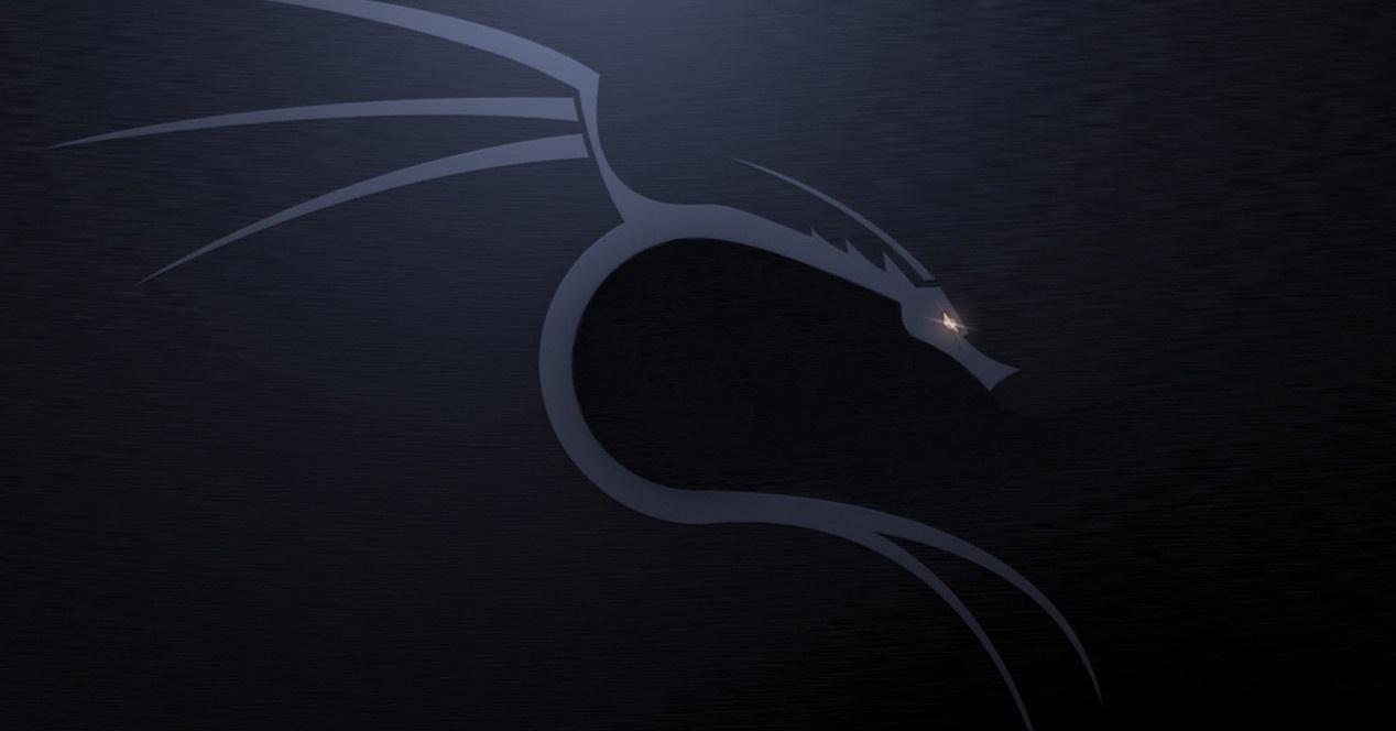 4K Debian Wallpapers - Top Free 4K Debian Backgrounds - WallpaperAccess