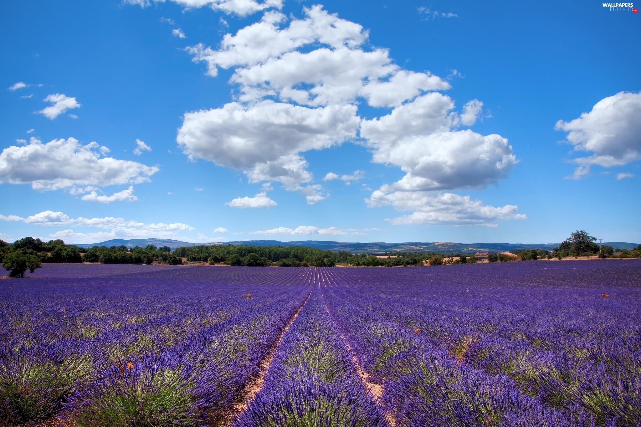 Lavender Clouds Wallpapers - Top Free Lavender Clouds Backgrounds ...
