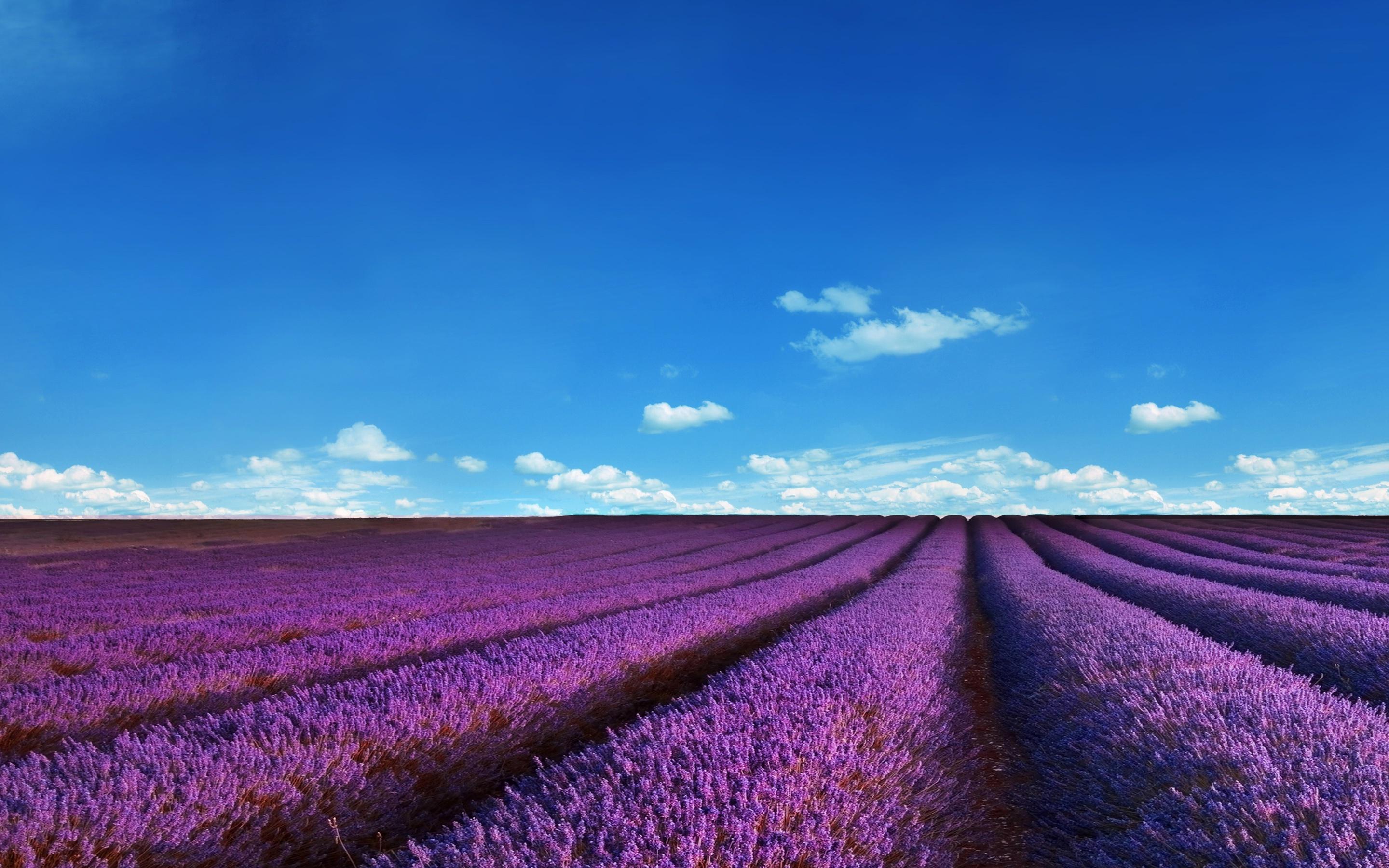 Lavender Clouds Wallpapers - Top Free Lavender Clouds Backgrounds ...