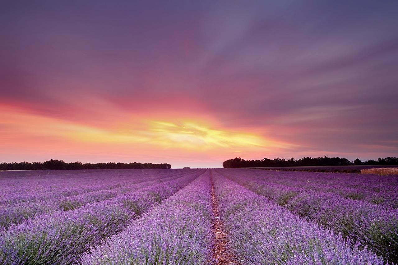 Lavender Clouds Wallpapers - Top Free Lavender Clouds Backgrounds ...
