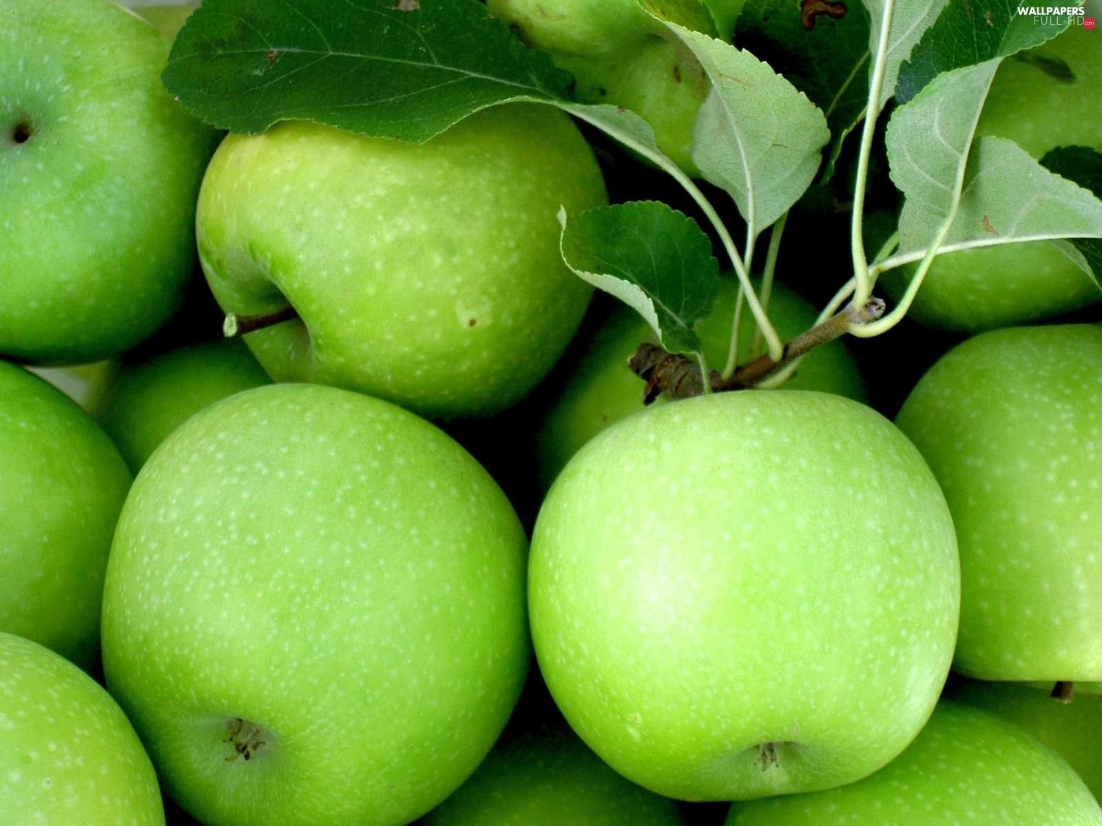 Green Apple Wallpapers - Top Free Green Apple Backgrounds - WallpaperAccess
