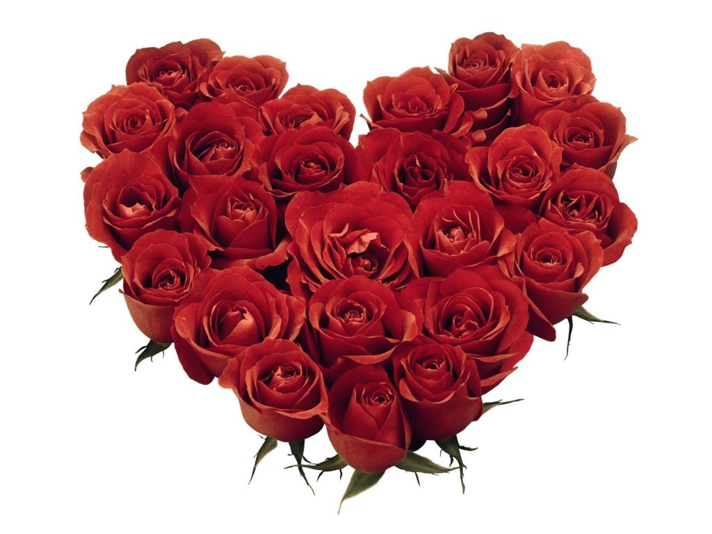 Beautiful Heart Flowers Wallpapers - Top Free Beautiful Heart Flowers ...
