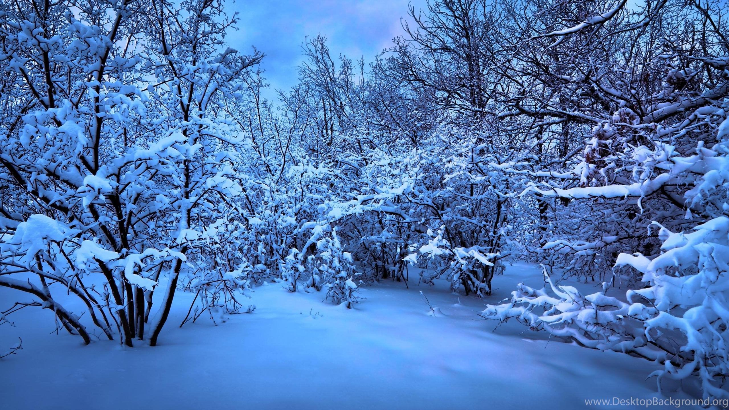 3K Wallpapers - Top Free 3K Backgrounds - WallpaperAccess