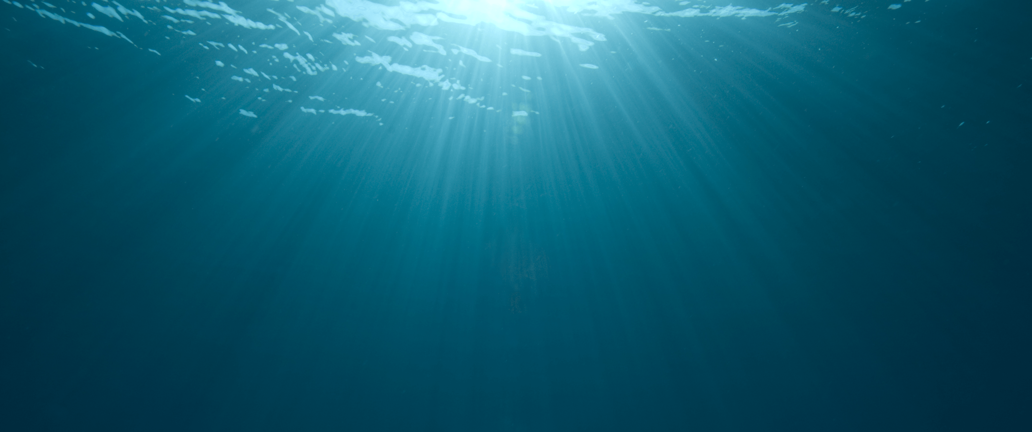 3K Wallpapers - Top Free 3K Backgrounds - WallpaperAccess