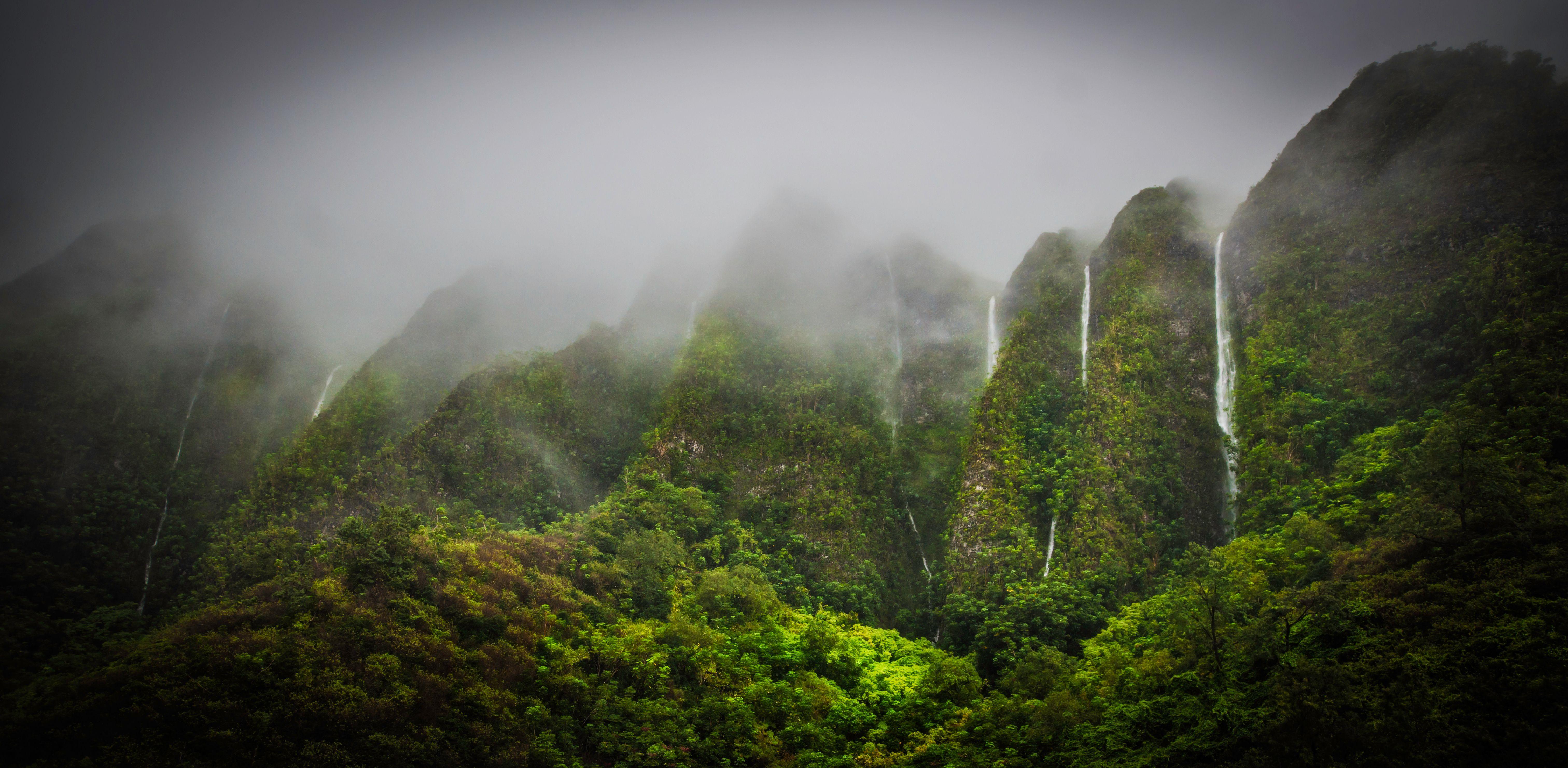 Jungle Rain Wallpapers - Top Free Jungle Rain Backgrounds - WallpaperAccess