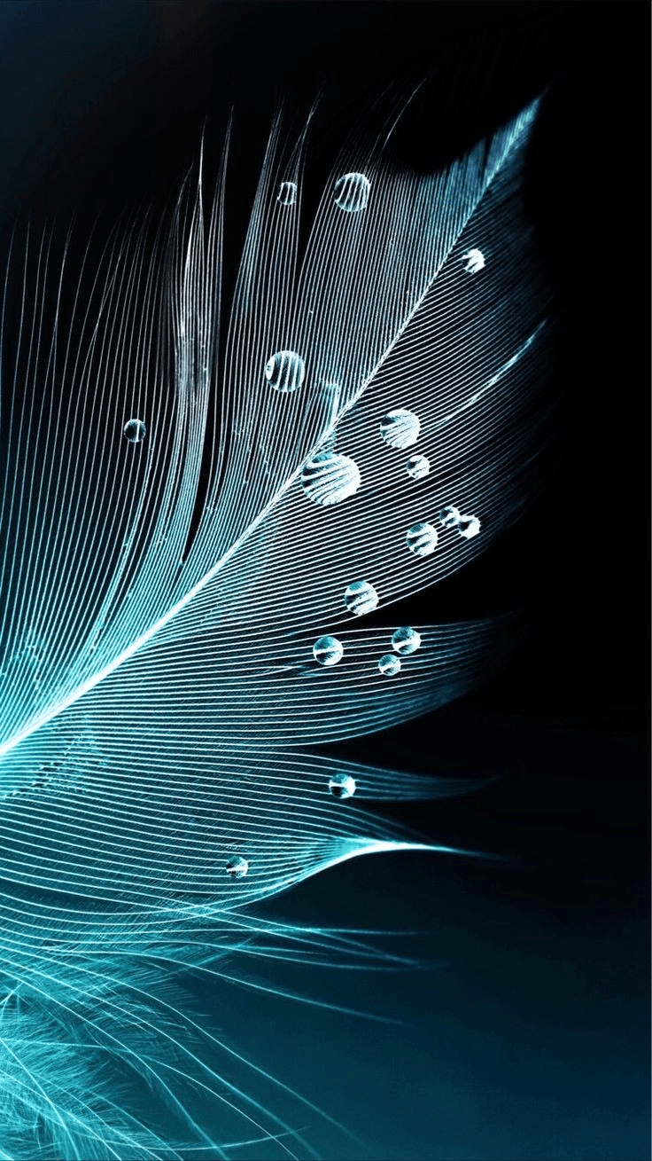 Feather Phone Wallpapers - Top Free Feather Phone Backgrounds ...