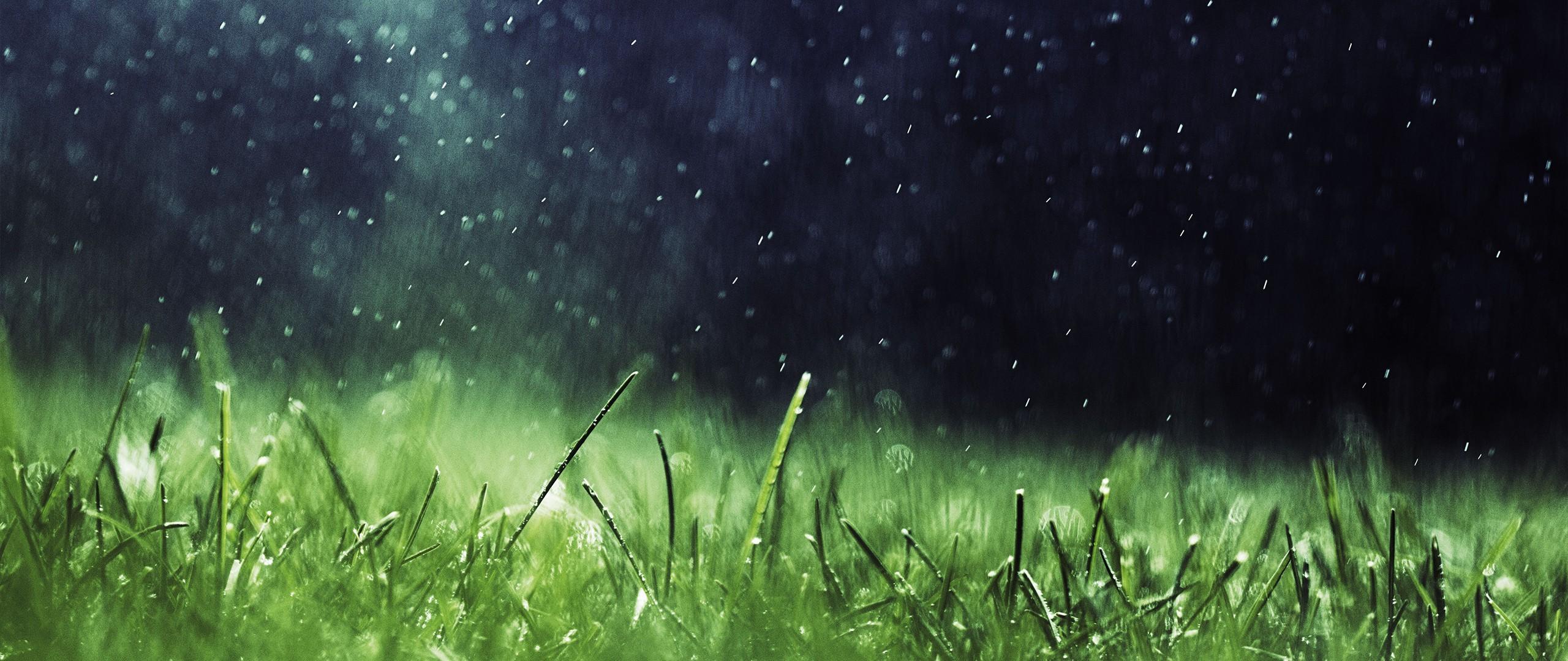 HD Wide Wallpapers - Top Free HD Wide Backgrounds - WallpaperAccess