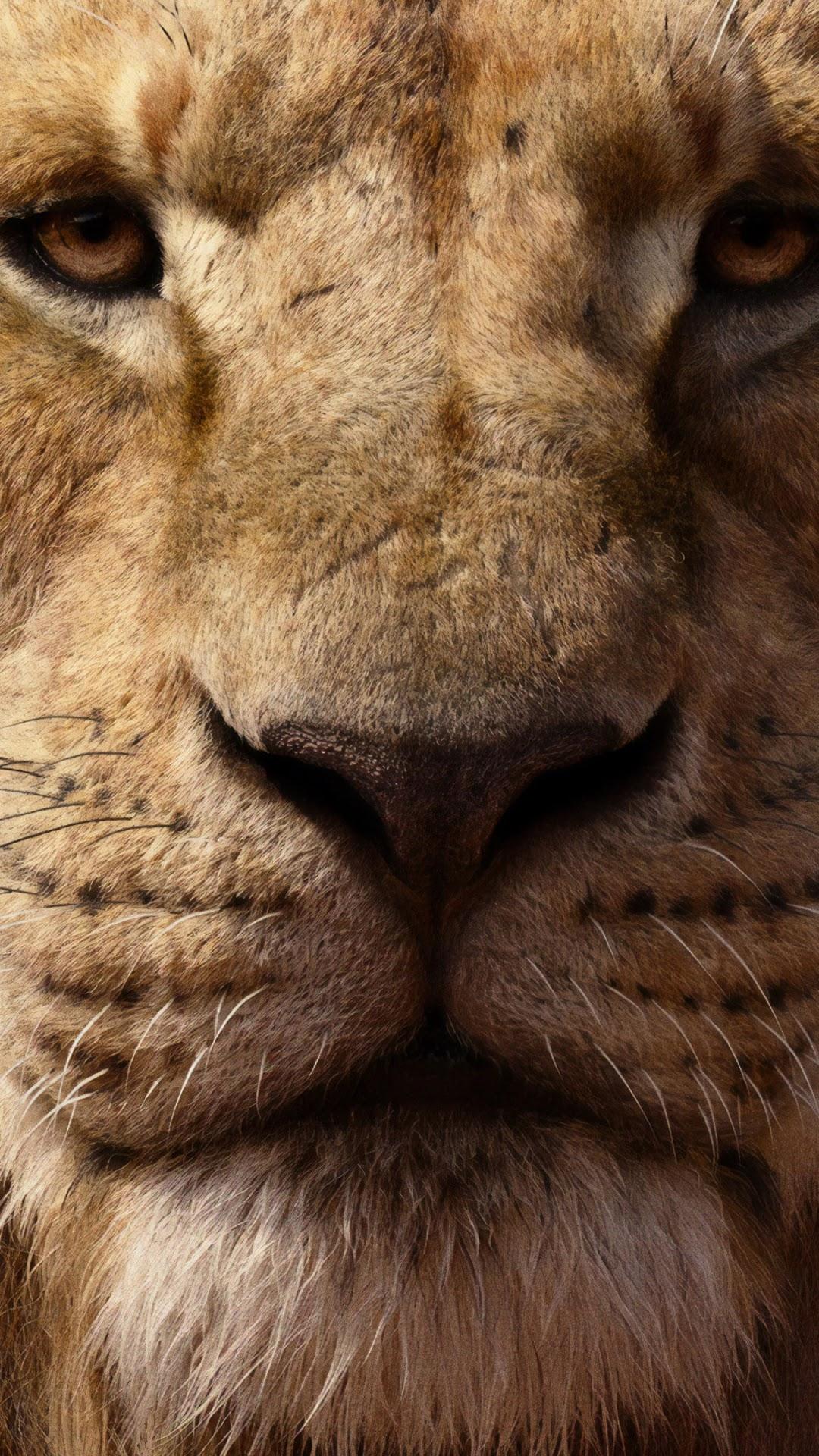 Mufasa Lion King Wallpapers - Top Free Mufasa Lion King Backgrounds ...