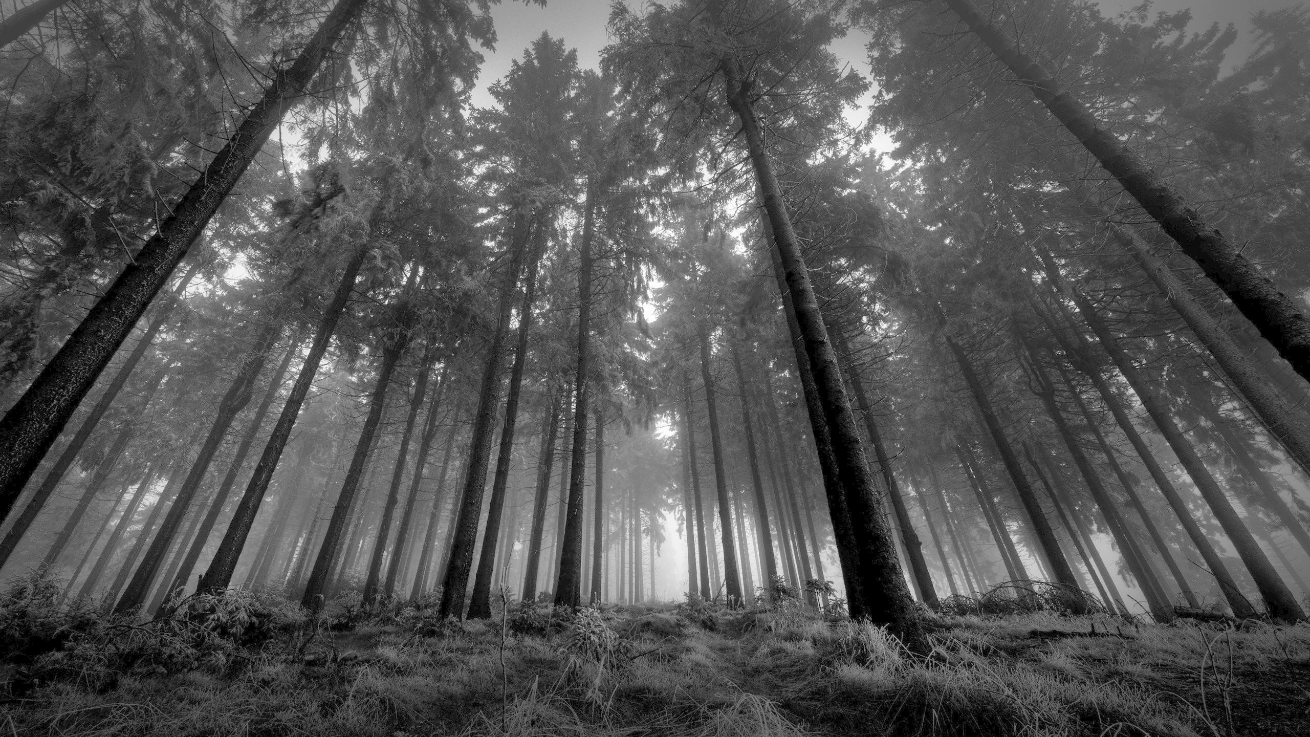 Dark Ambient Wallpapers - Top Free Dark Ambient Backgrounds - WallpaperAccess