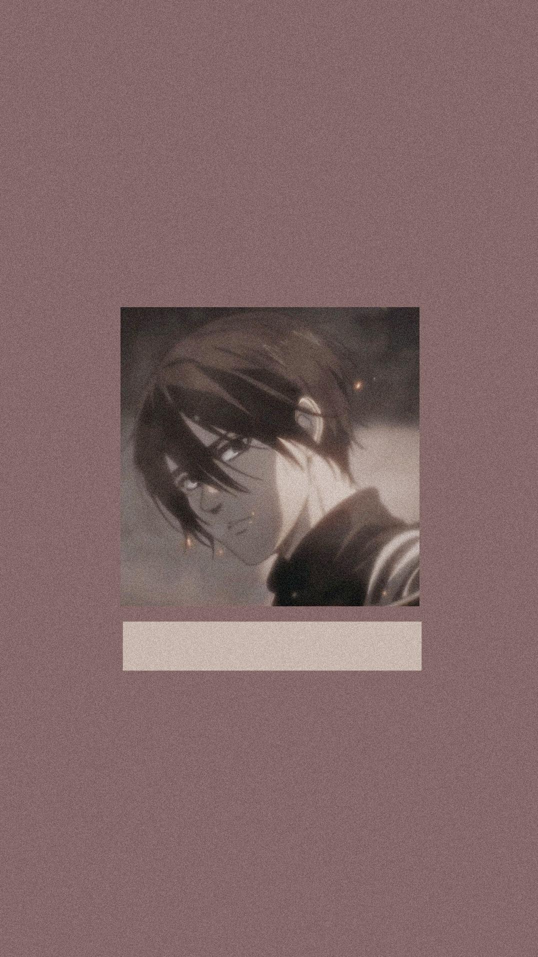 AOT Aesthetic Wallpapers - Top Free AOT Aesthetic Backgrounds ...