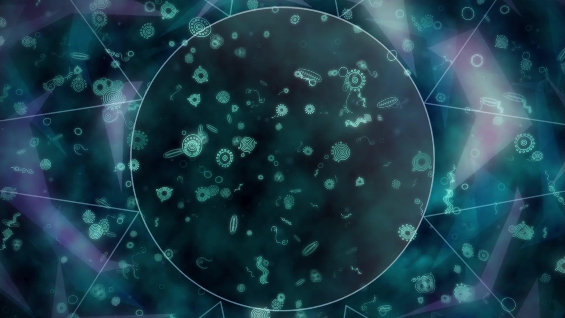 The Secret of Kells Wallpapers - Top Free The Secret of Kells ...