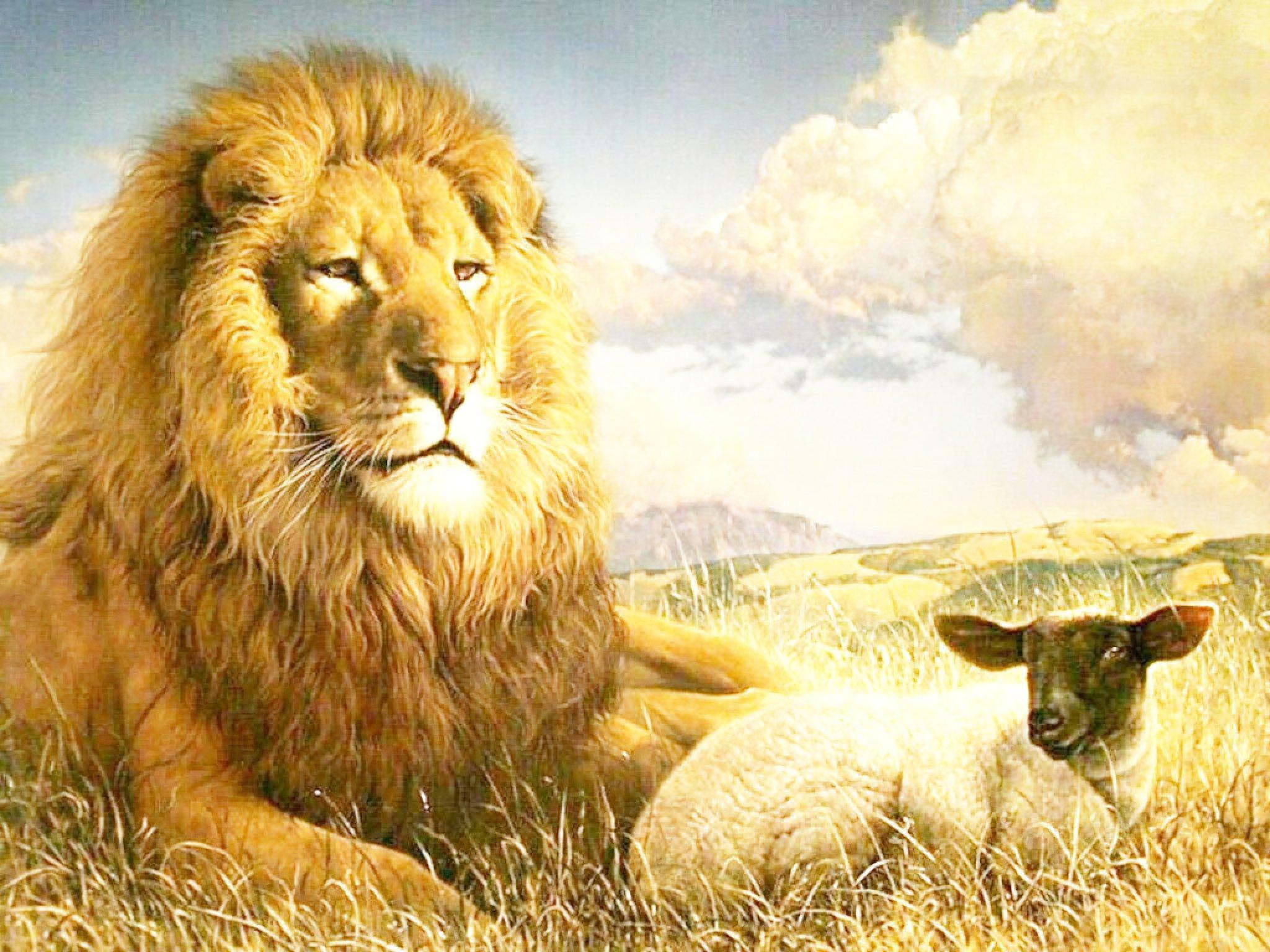 Lion and Lamb Wallpapers - Top Free Lion and Lamb Backgrounds ...
