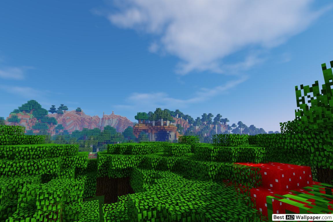 Minecraft Grass Wallpapers - Top Free Minecraft Grass Backgrounds ...