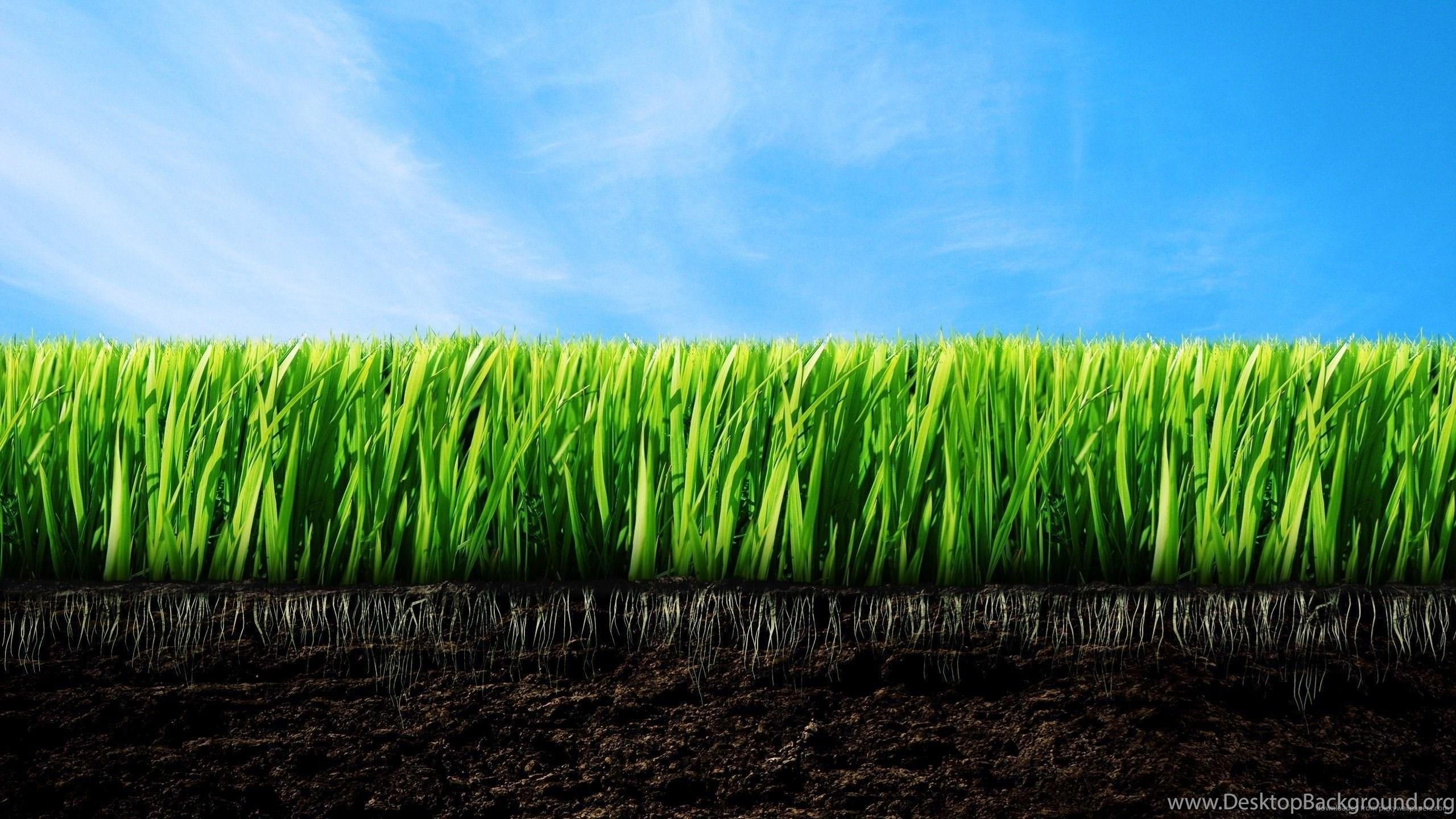 Minecraft Grass Wallpapers - Top Free Minecraft Grass Backgrounds ...