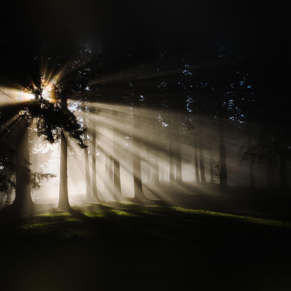 Light Shine Wallpapers - Top Free Light Shine Backgrounds - WallpaperAccess