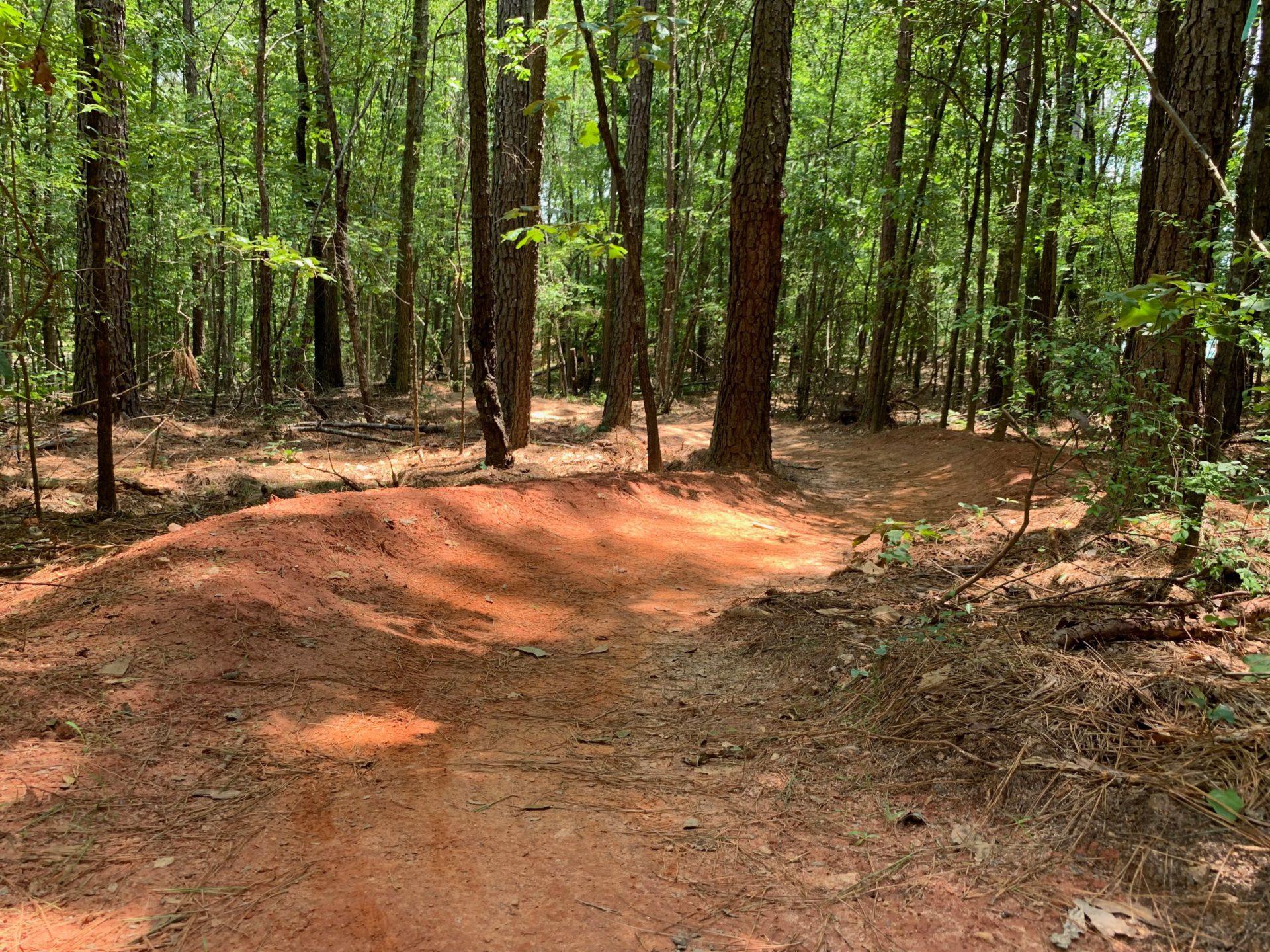 MTB Trail Wallpapers - Top Free MTB Trail Backgrounds - WallpaperAccess