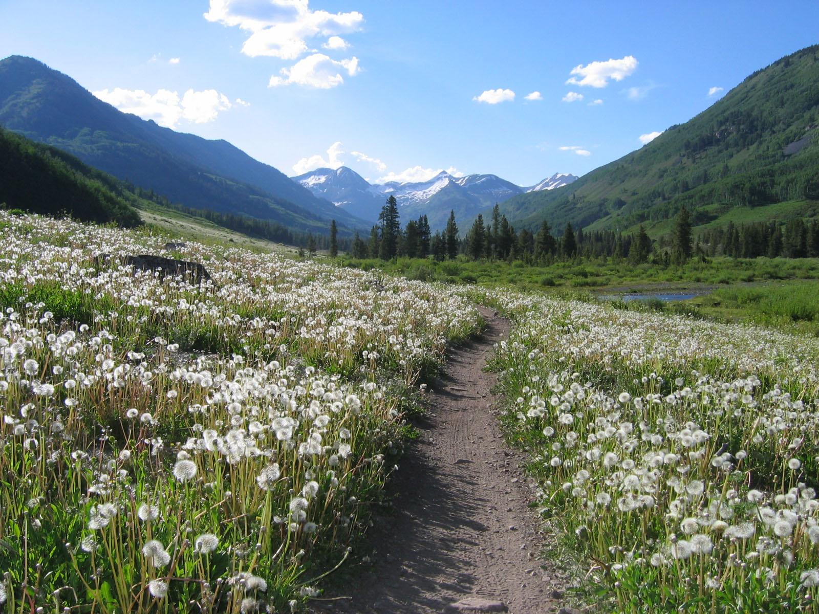 MTB Trail Wallpapers - Top Free MTB Trail Backgrounds - WallpaperAccess