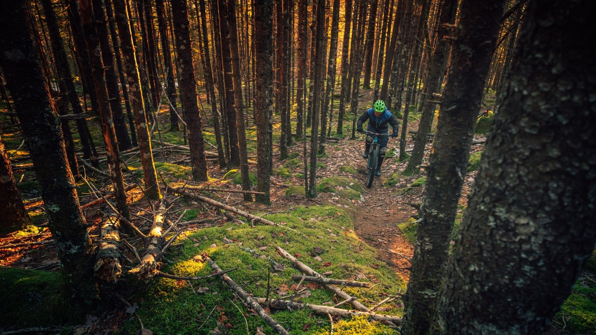 MTB Trail Wallpapers - Top Free MTB Trail Backgrounds - WallpaperAccess