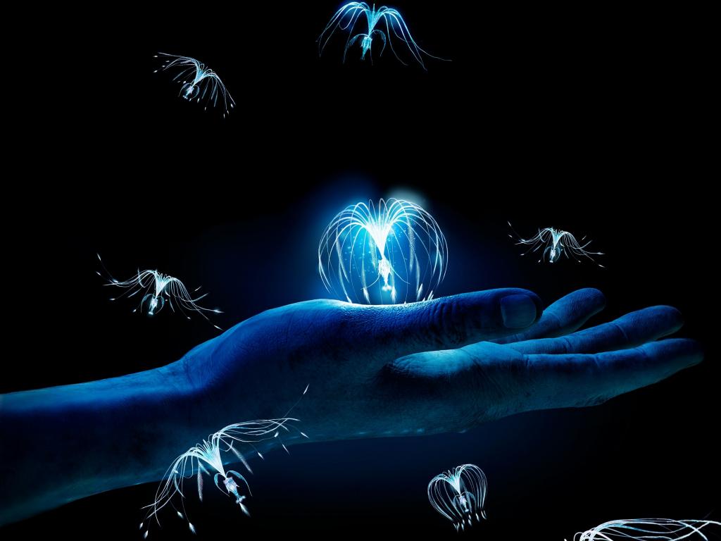 Avatar Face Wallpapers - Top Free Avatar Face Backgrounds - WallpaperAccess