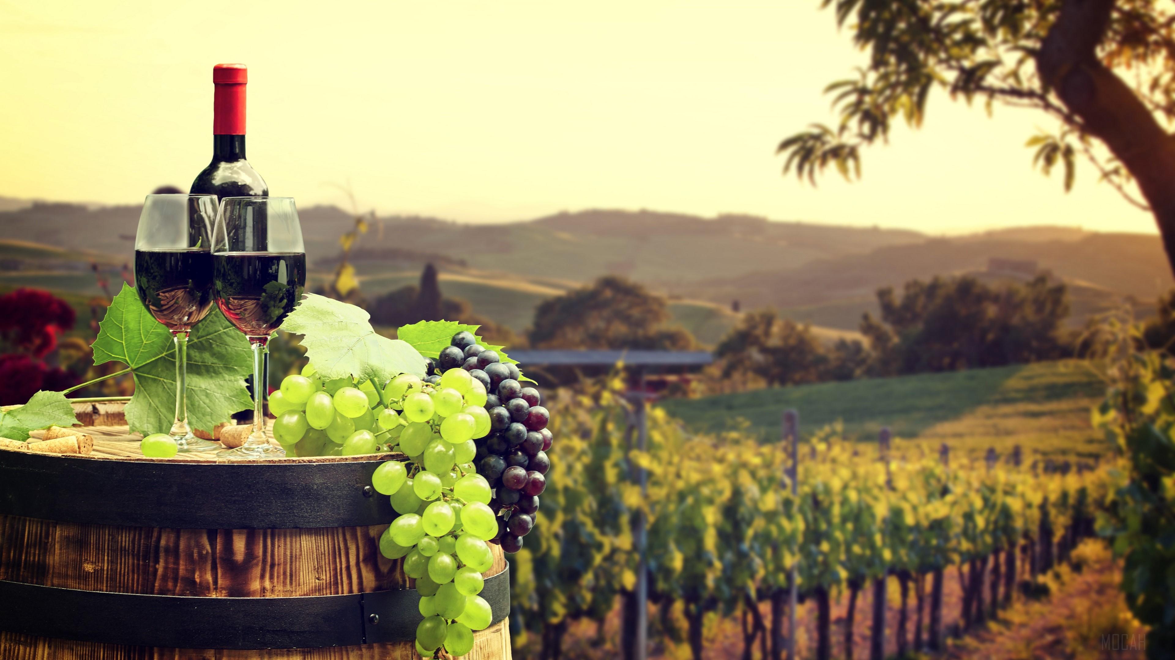 Italy Vineyard Wallpapers - Top Free Italy Vineyard Backgrounds ...