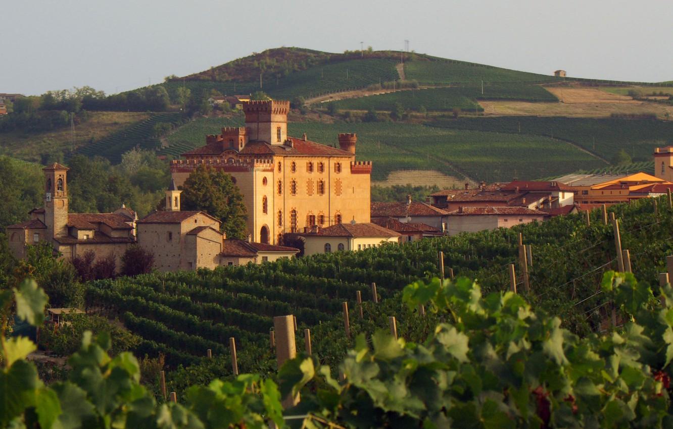 Italy Vineyard Wallpapers - Top Free Italy Vineyard Backgrounds ...